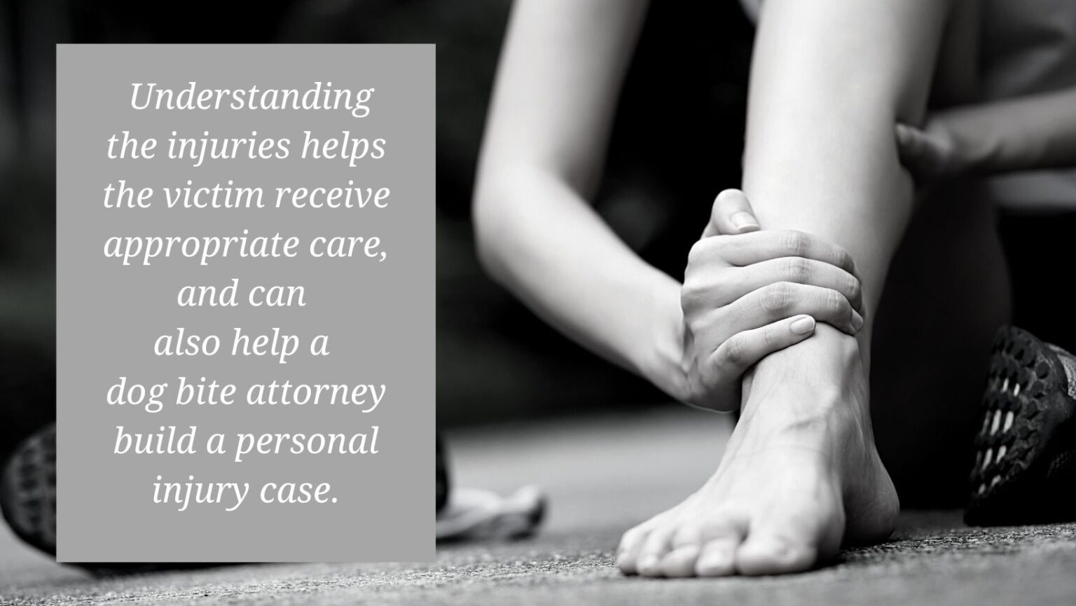 Common Dog Attack Injuries and Steps for Victims